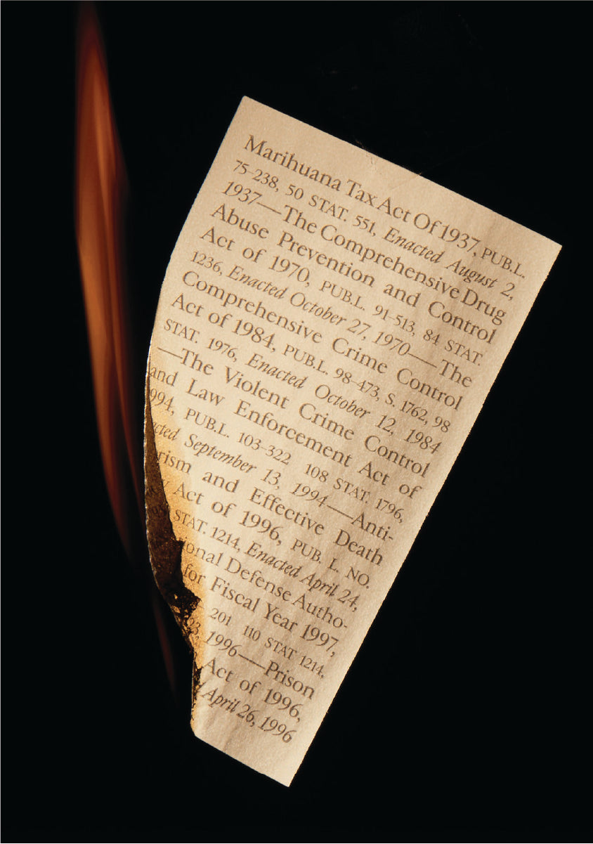 Wholesale | Burn Book Papers – Field Trip Rolling Papers